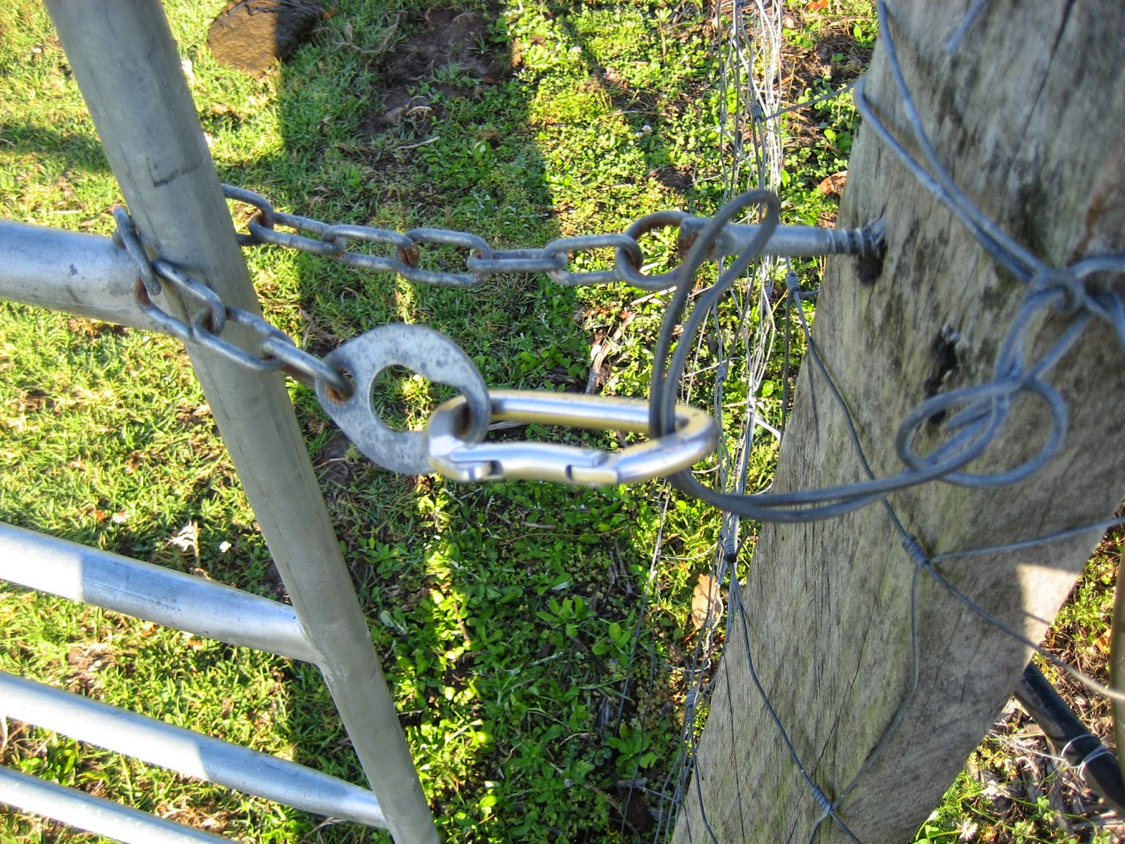 Life at Arbordale Farm: 01/09/14 - 01/10/14